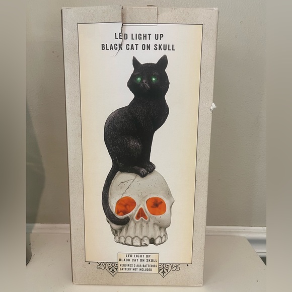 Cracker Barrel | Accents | Cracker Barrel Halloween Black Cat On Skull ...